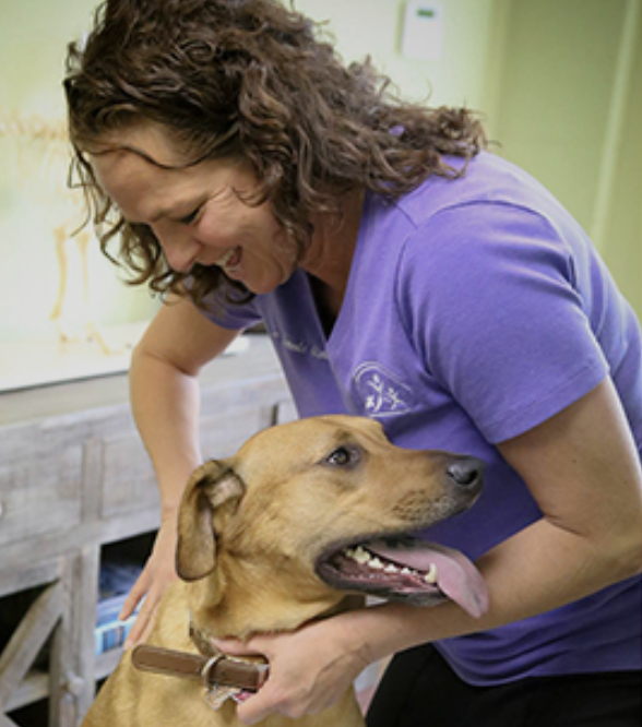 Kennesaw, GA - Active Life Chiropractic - Pet Chiropractic Care Kennesaw, GA - Active Life Chiropractic - Pet Chiropractic Care