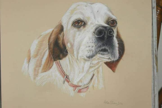 - Pet Portrait Artist Helen SherryNationwide