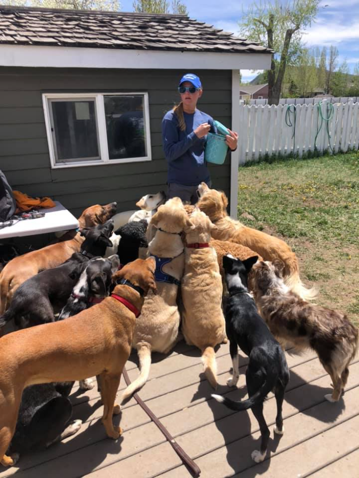 Park City, UT - Doggo Camp Dog Boarding