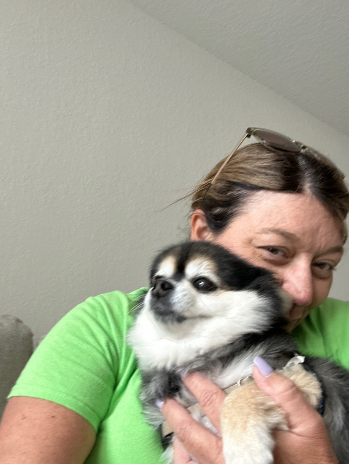 Fort Lauderdale, FL - Fetch! Pet Care - Dog Walking, Sitting, Pet Taxi