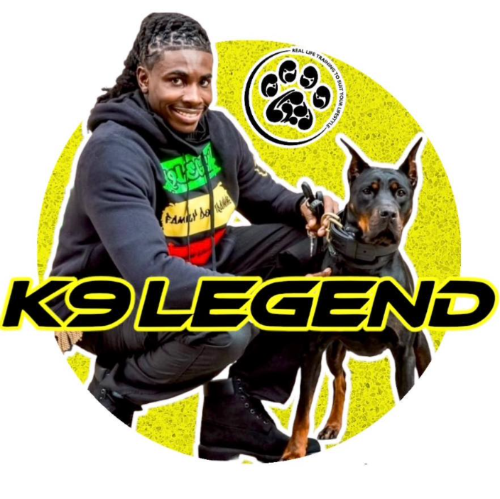 Salisbury, MD - K9 Legend Family Dog Training and Aggression Rehab