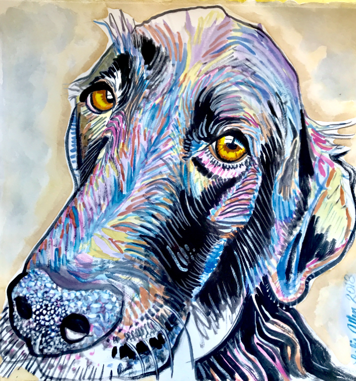 Eureka, CA - Leslie Allen Pet Portraits
