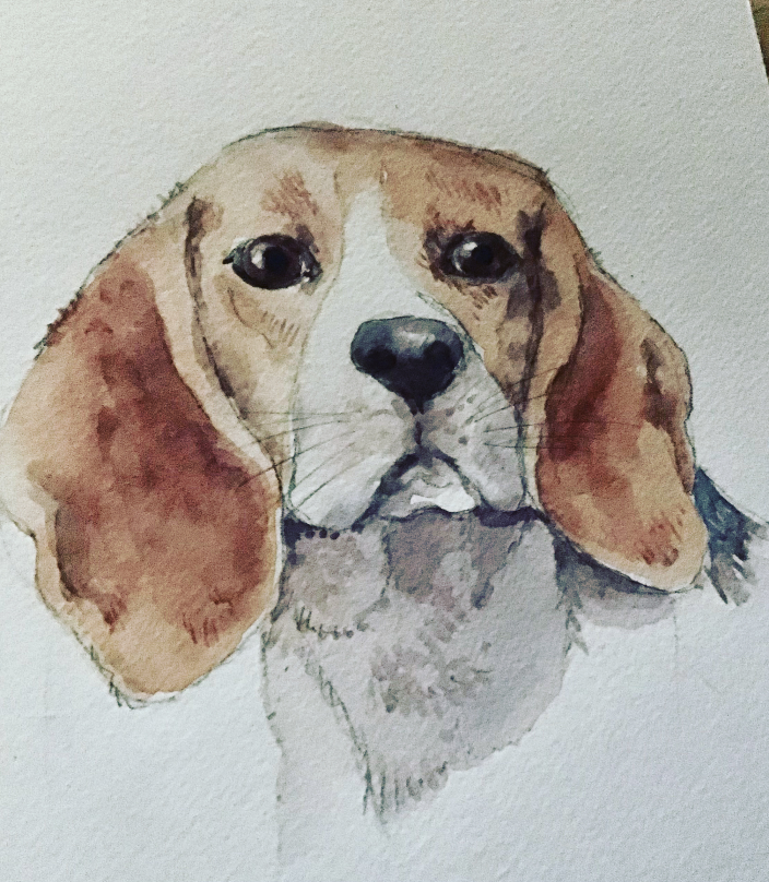 Cheshire, CT - Carla Sternberg Koch - Pet Portrait Artist