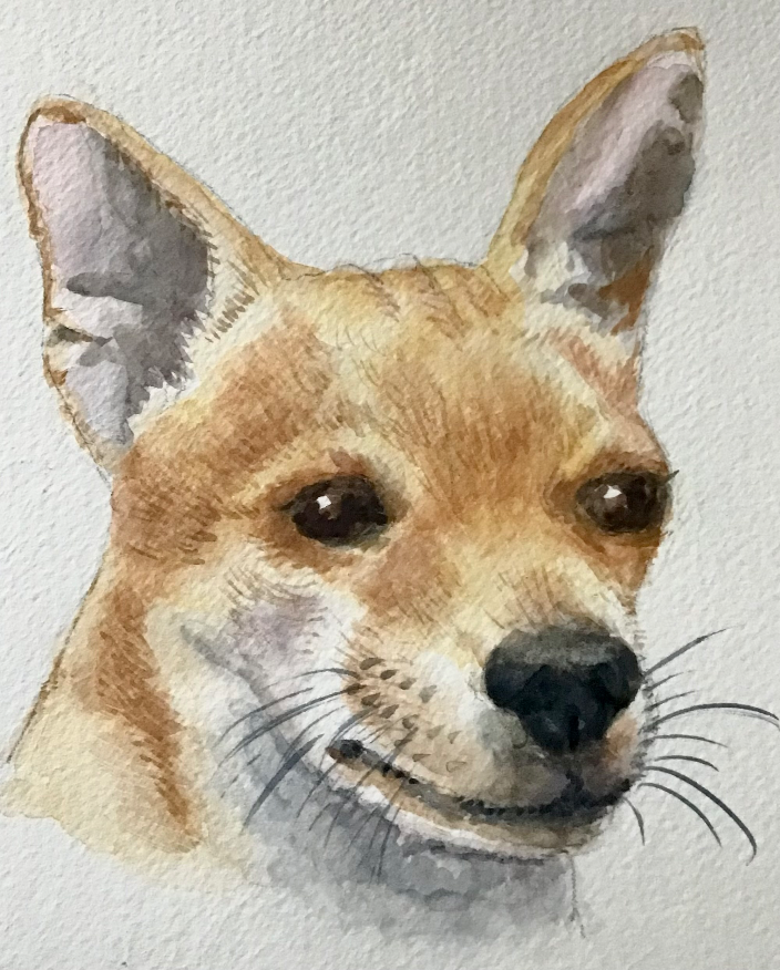 Cheshire, CT - Carla Sternberg Koch - Pet Portrait Artist