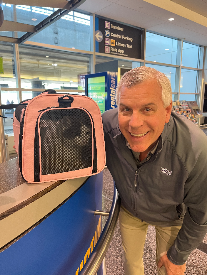 Shawnee Mission, KS - KC Paws Flight Nanny Pet Transport