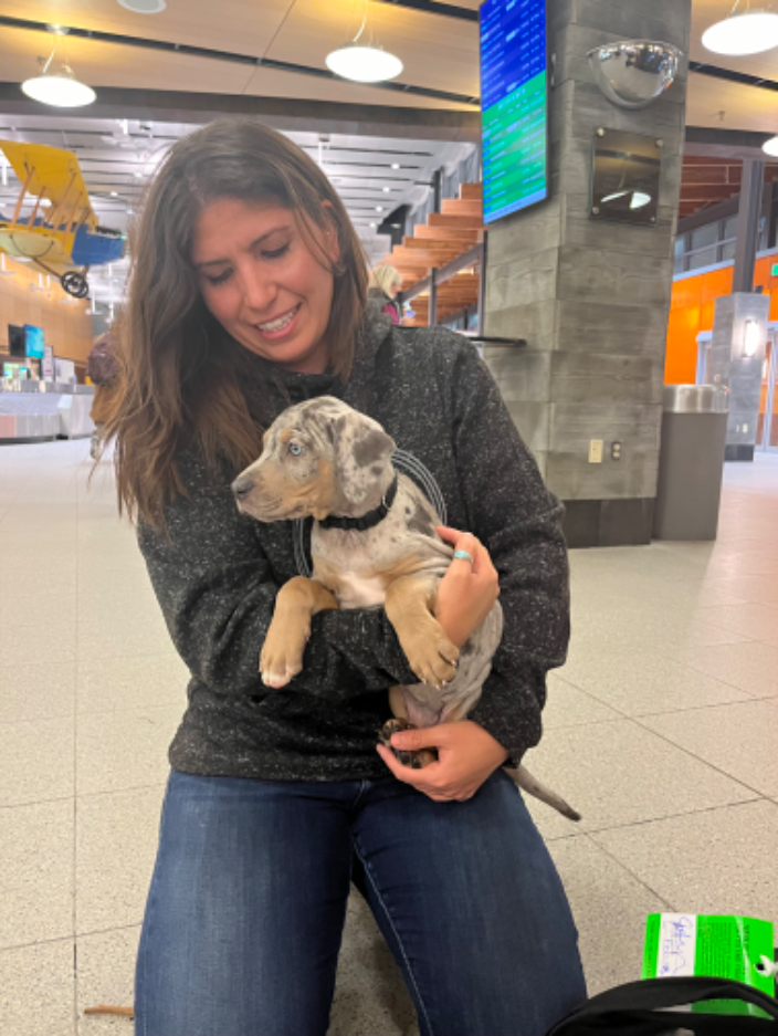 Shawnee Mission, KS - KC Paws Flight Nanny Pet Transport