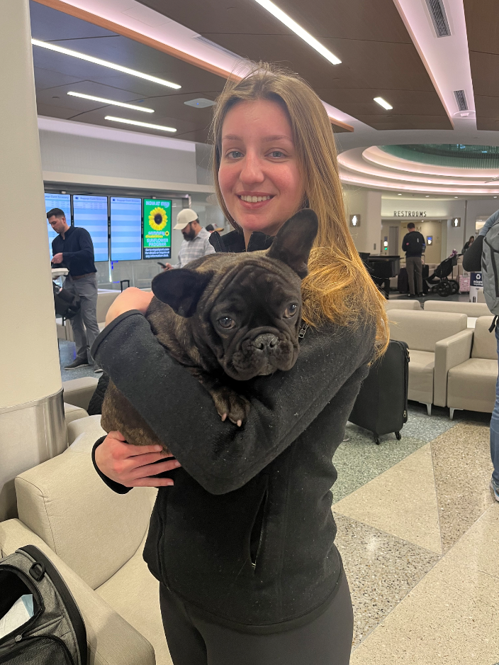 Shawnee Mission, KS - KC Paws Flight Nanny Pet Transport