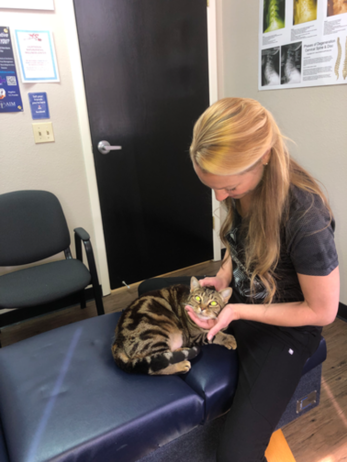 Tulsa, OK - Katie Manfredi - Doctor of Chiropractic - Pet Chiropractor