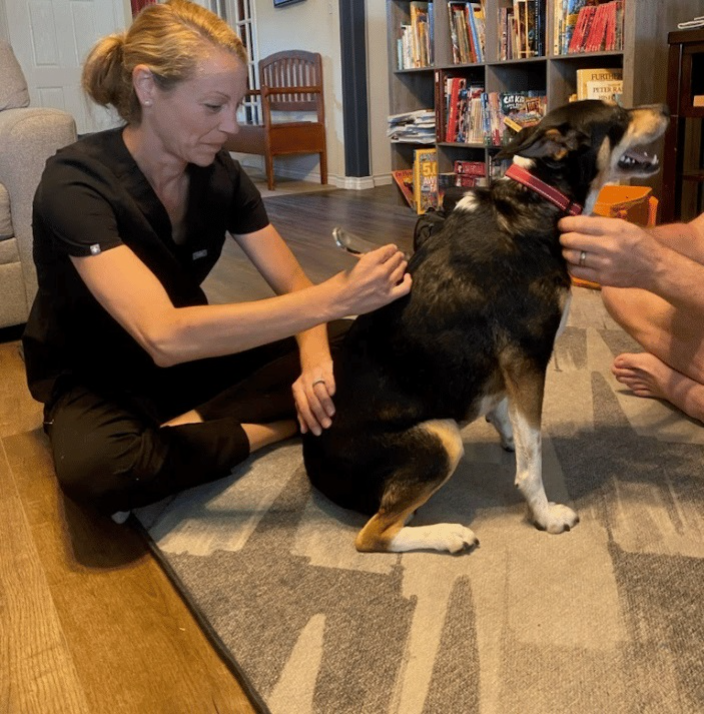 Tulsa, OK - Katie Manfredi - Doctor of Chiropractic - Pet Chiropractor