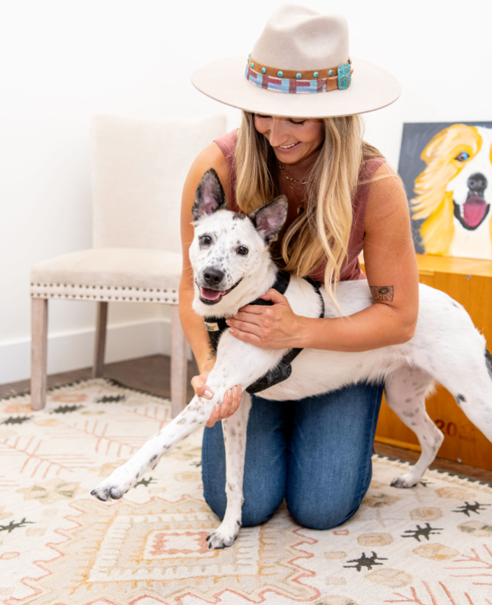 Denver, CO - Dr. Casey Abernethy - Animal Chiropractor