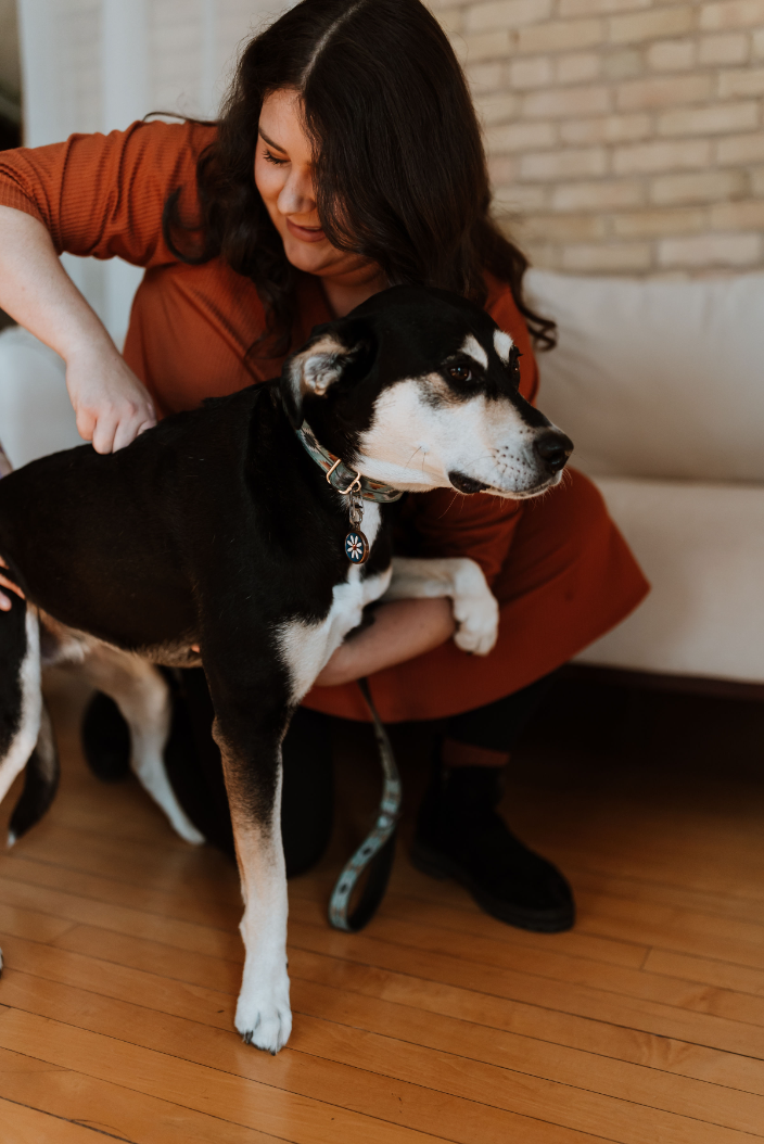 Spring Grove, IL - Dr. Molly Mehlman - AVCA Certified Animal Chiropractor