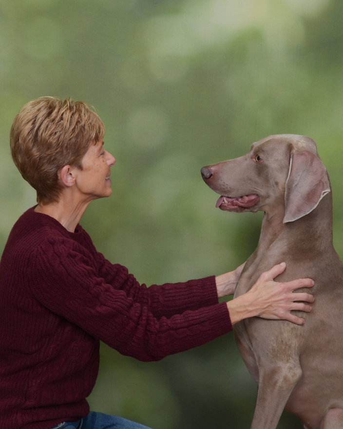 Sunbury, OH - Holistic Dog Health Coach