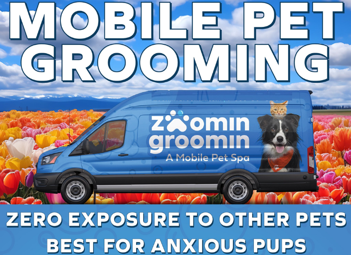 Virginia Beach, VA - Zoomin Groomin Mobile Grooming