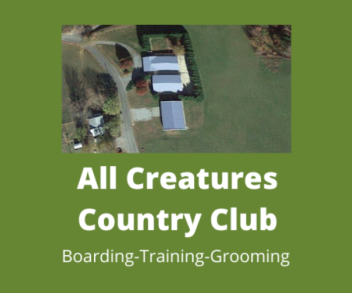 Greeneville, TN - All Creatures Country Club - Positive Dog Training
