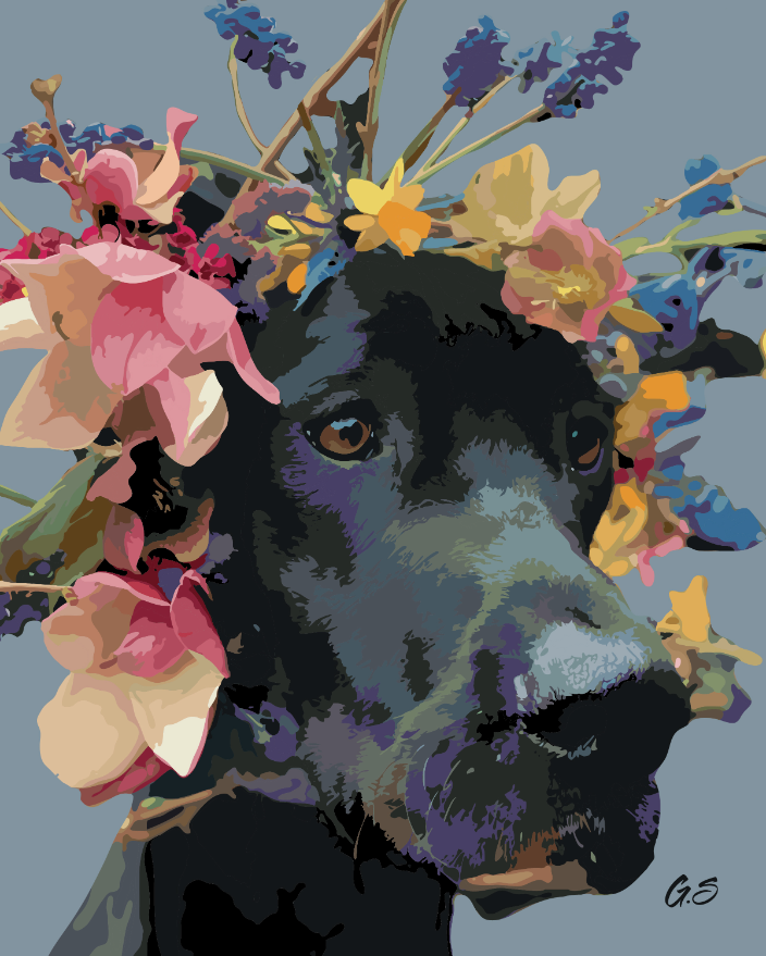 York, PA - Custom Pet Portraits