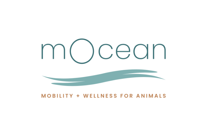 Jacksonville Beach, FL - mOcean mobility + wellness for animals