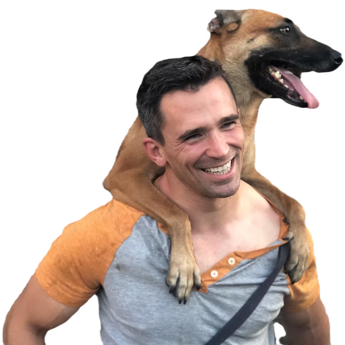 Carmel, IN - In Person and Virtual Online Dog Training