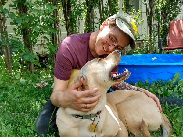 Minneapolis, MN - Alder the Dog Guy - Certified Remote Canine Trainer